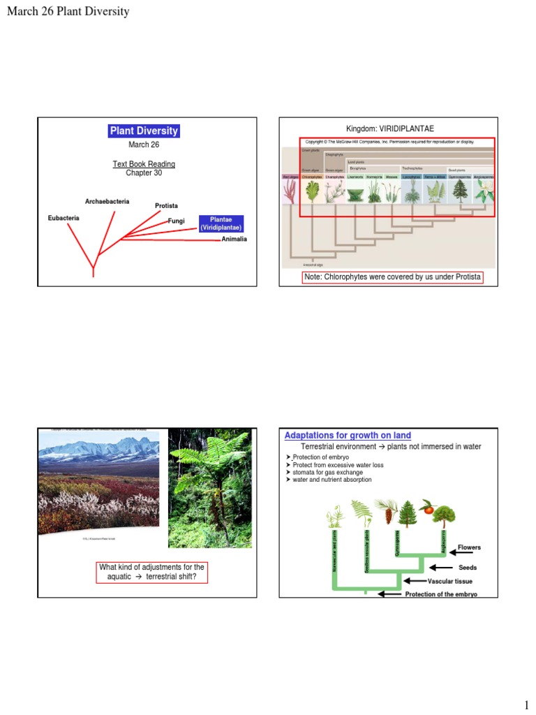 Plant Diversity: Kingdom: Viridiplantae | Download Free PDF ...