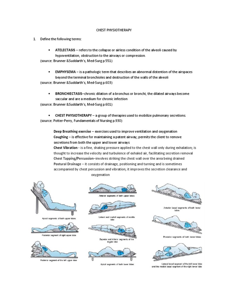 Chest Physiotherapy Report | PDF | Breathing | Lung