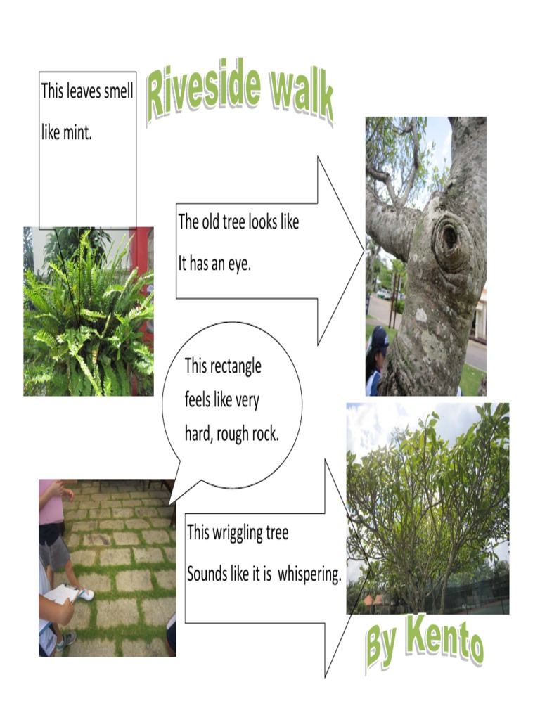 Sensory Descriptions of Nature | PDF | Home & Garden | Science ...