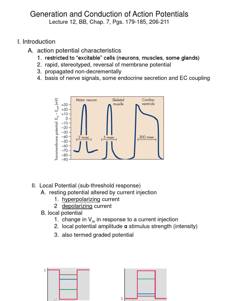 Generation and Conduction of Action Potentials: A. Action Potential ...