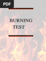 T168 Burn Test Chart | PDF | Rayon | Textiles