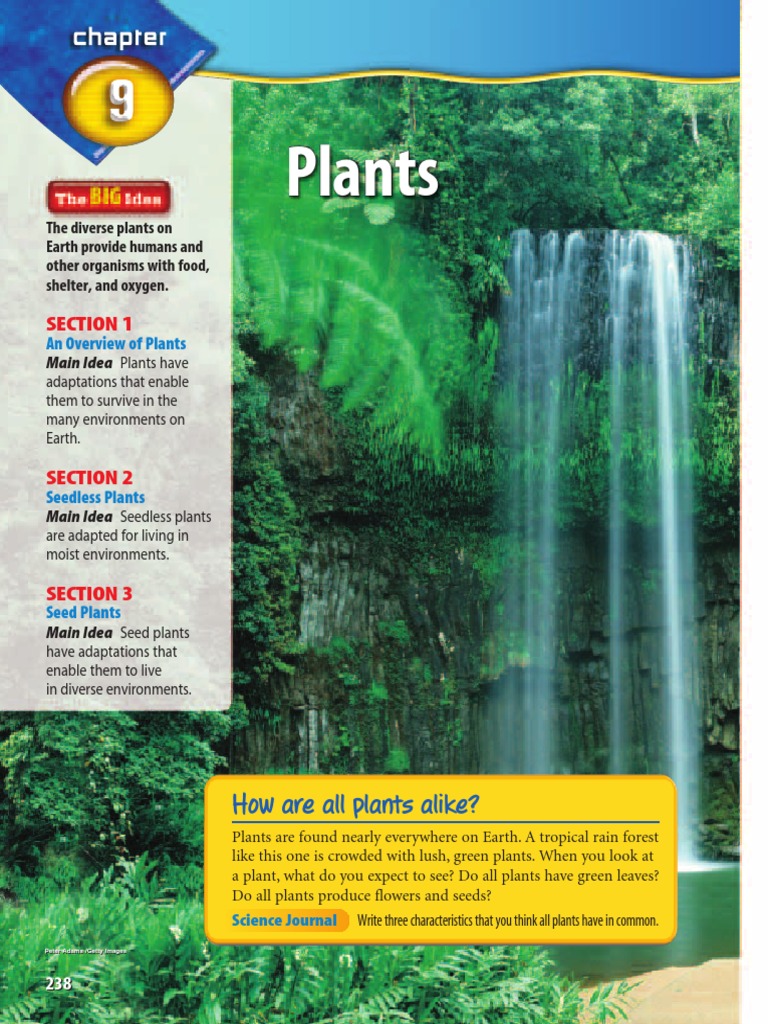030 Plants Text Book Chapter | PDF | Plants | Root