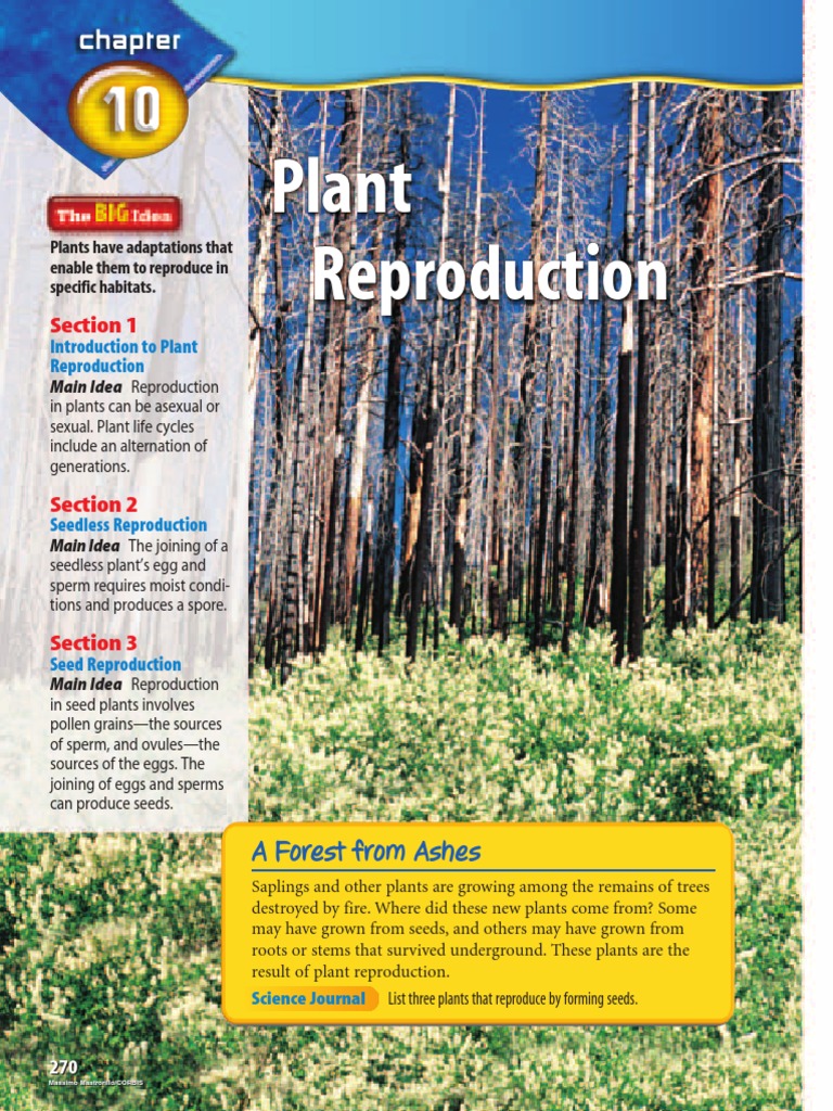 033 plant reproduction text book chapter | Sexual Reproduction | Seed