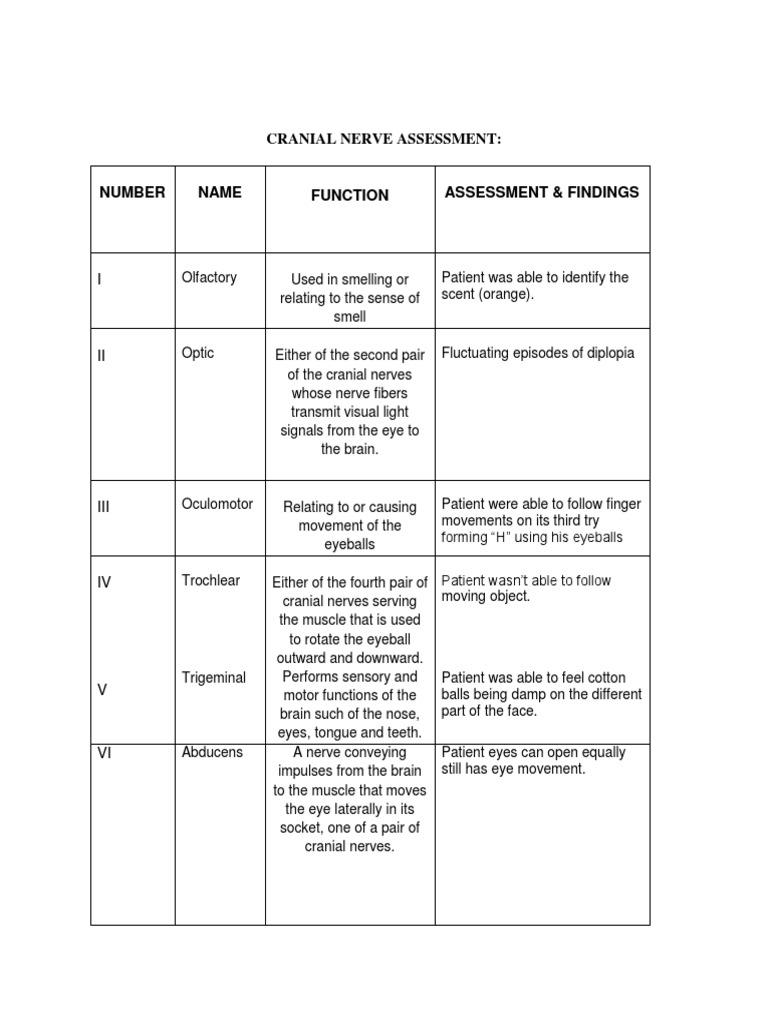 Cranial Nerve Assessment | PDF
