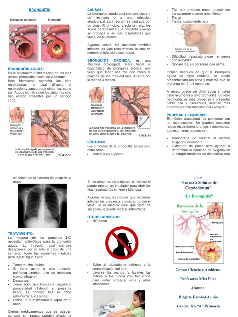 Triptico BRONQUITIS | PDF | Bronquitis | Neumonía