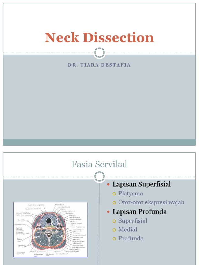 Neck Dissection | PDF | Anatomy | Medical Specialties