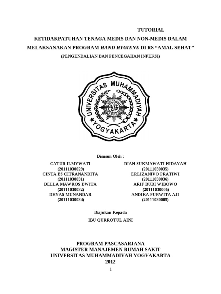 Plan of Action Hand Hygiene | PDF