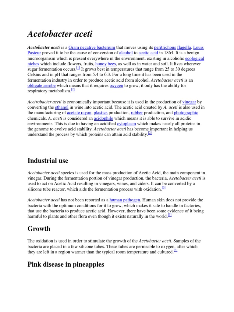 Acetobacter_aceti | Microbiology | Chemistry