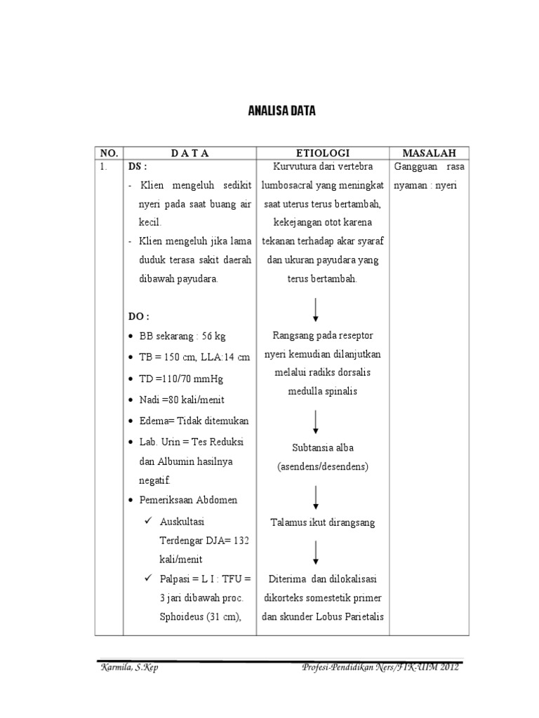 Askep Anc Analisa Data | PDF