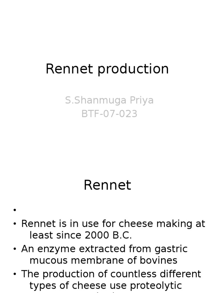 Microbial Rennet Production Overview | PDF | Cheese | Organisms