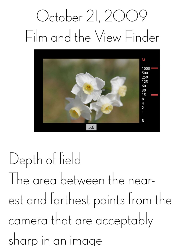 The View FInder | PDF