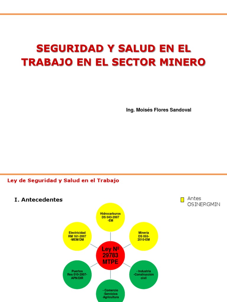 Seguridad y Salud Ocupacional en El Sector Minero | PDF | Derecho ...