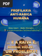 Ficha Antirrabica Preenchivel 27112020 | PDF | Raiva | Sistema de saúde