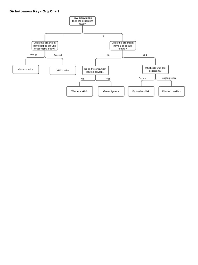 Dichotomous Key 1 | PDF | Lizard | Reptiles Of North America