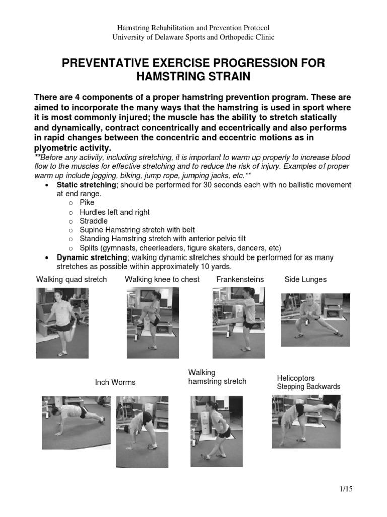 Hamstring Exercise Progression | PDF | Anatomical Terms Of Motion ...