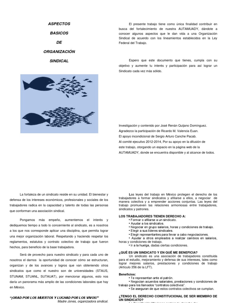 Aspectos Basicos de Organizacion Sindical | PDF | Crecimiento personal y profesional | Estilo de ...