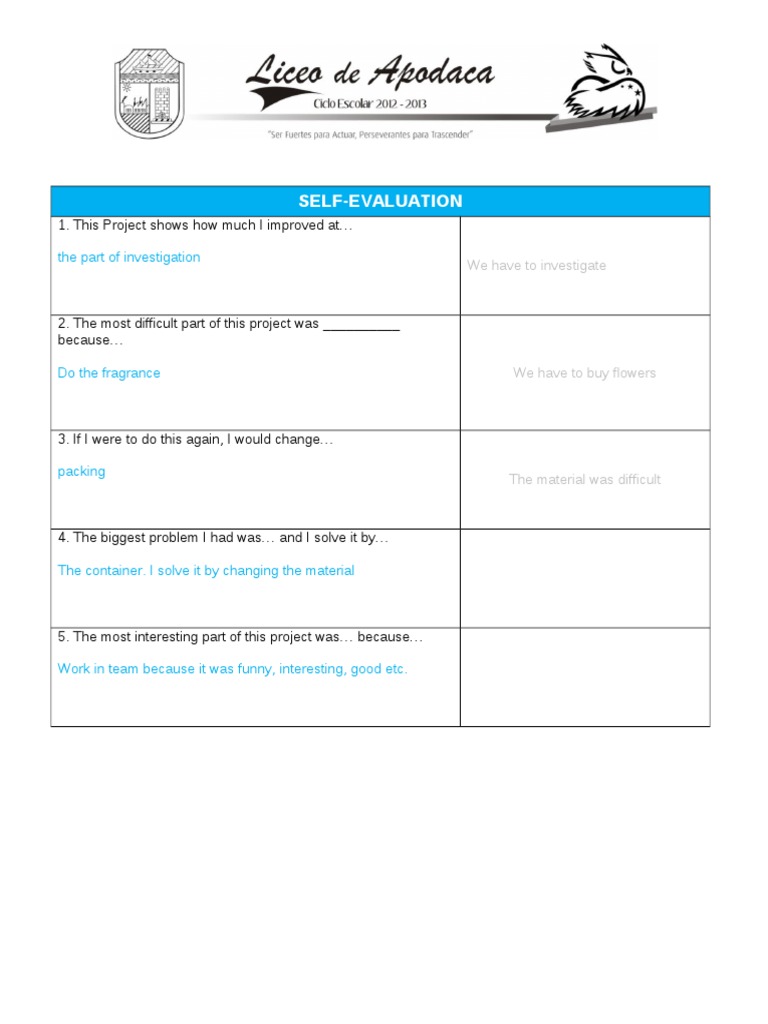 Project Self-Evaluation Insights | PDF | Language Arts & Discipline | Art