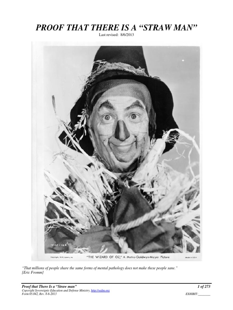 Straw Man | PDF | Internal Revenue Service | Article One Of The United ...