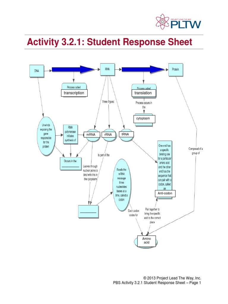 Activity 3.2.1 Student Response Sheet | PDF | Computers | Technology ...