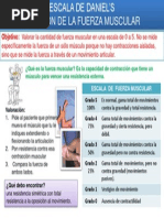 Dolor Neuropático. Test DN4 para Screening | PDF