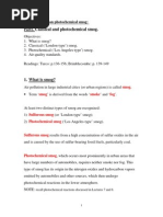 wph13 01 MSC 20200123 PDF | PDF | Cartesian Coordinate System | Mechanics
