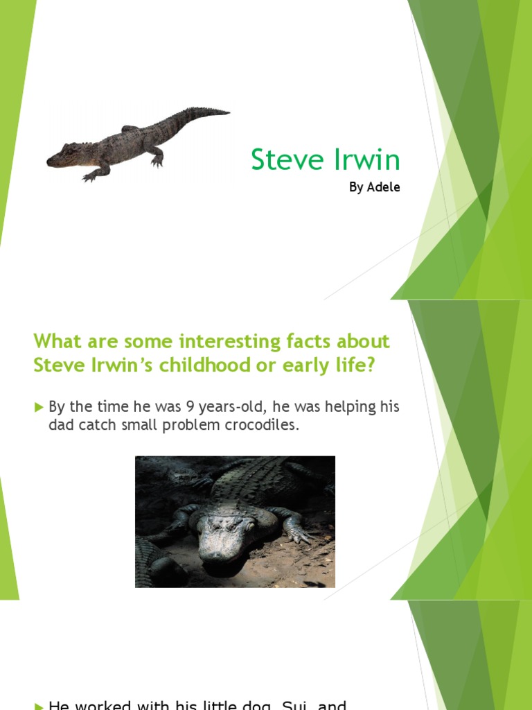 Steve Irwin | PDF
