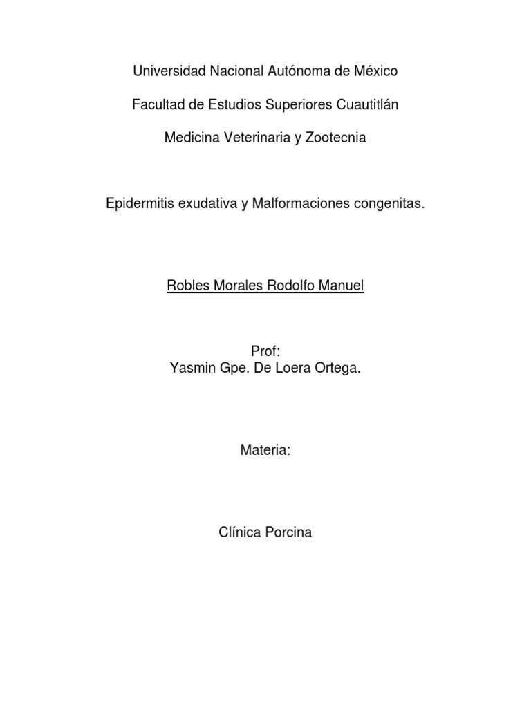 Epidermitis Exudativa | PDF | Piel | Enfermedades y trastornos