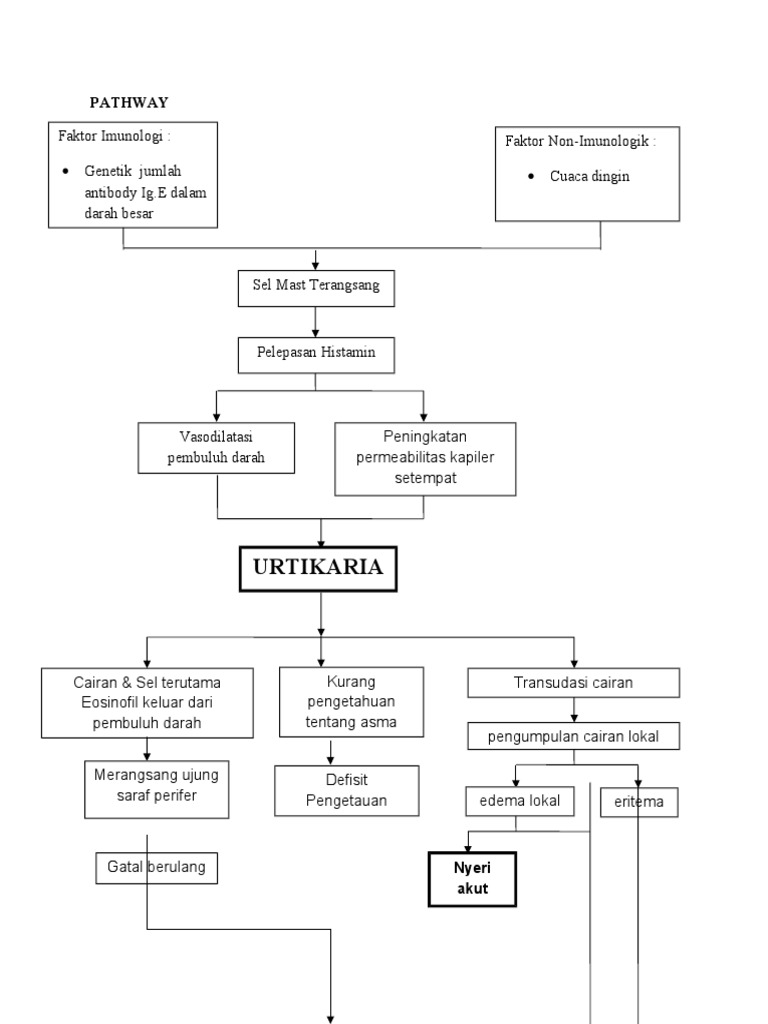 Pathway Urtikaria | PDF