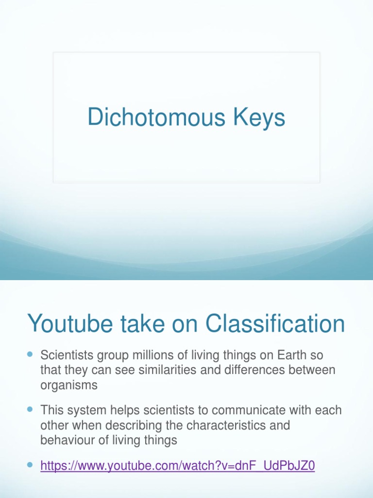 Dichotomous Keys | PDF | Peach | Fruit