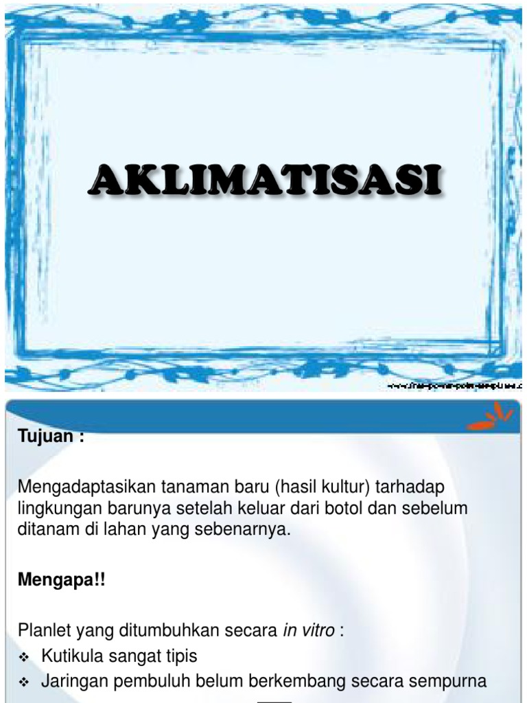 Panduan Aklimatisasi Tanaman Kultur | PDF