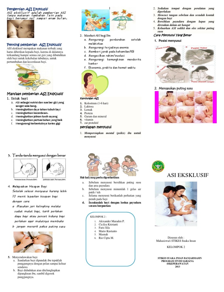 Leaflet ASI Eksklusif | PDF