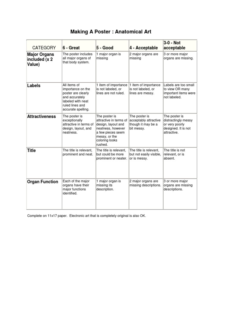 Anatomy Rubrics | PDF