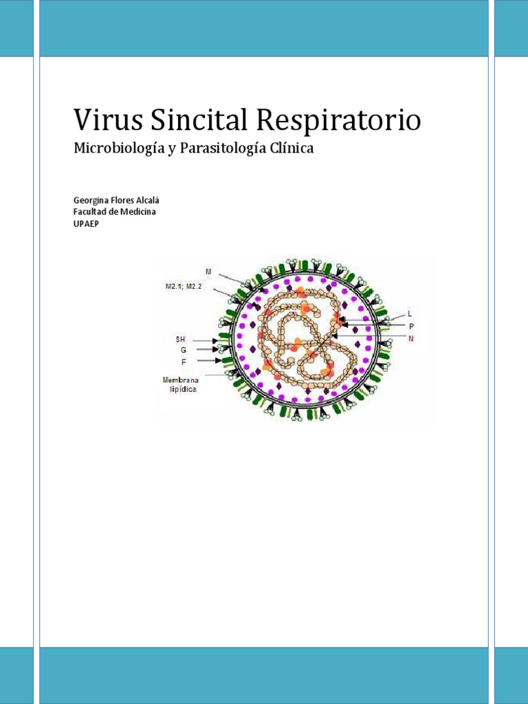 Virus Sincitial Respiratorio Guía Completa Pdf Virus Neumonía