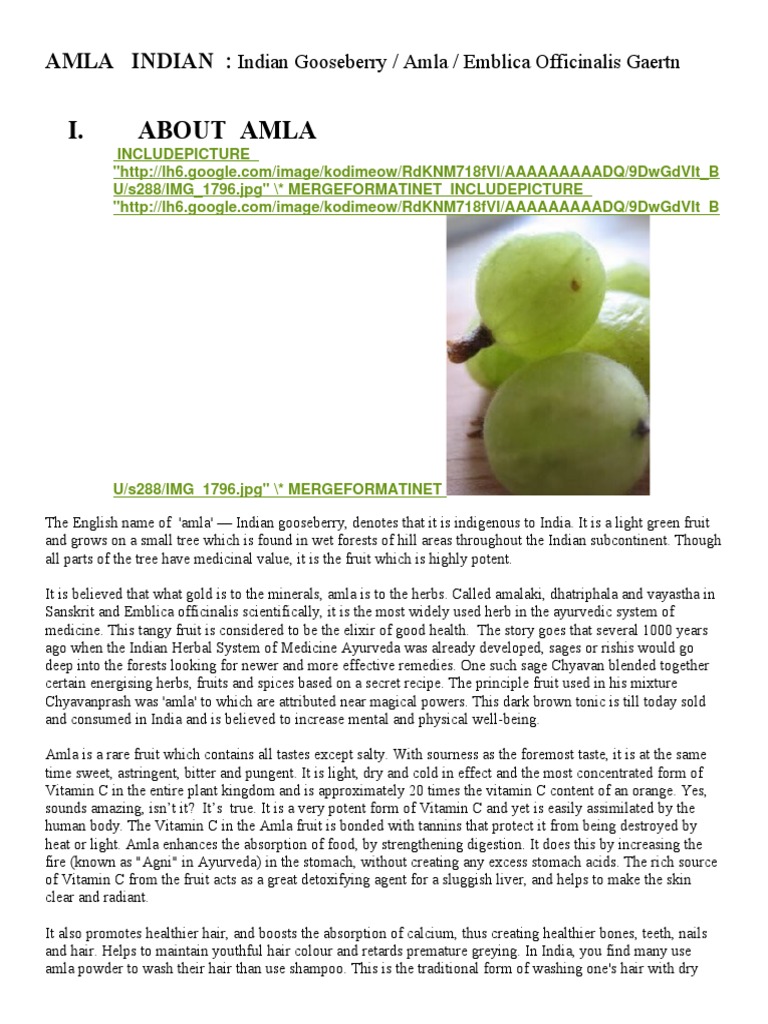 Amla | Download Free PDF | Diabetes Mellitus | Taste