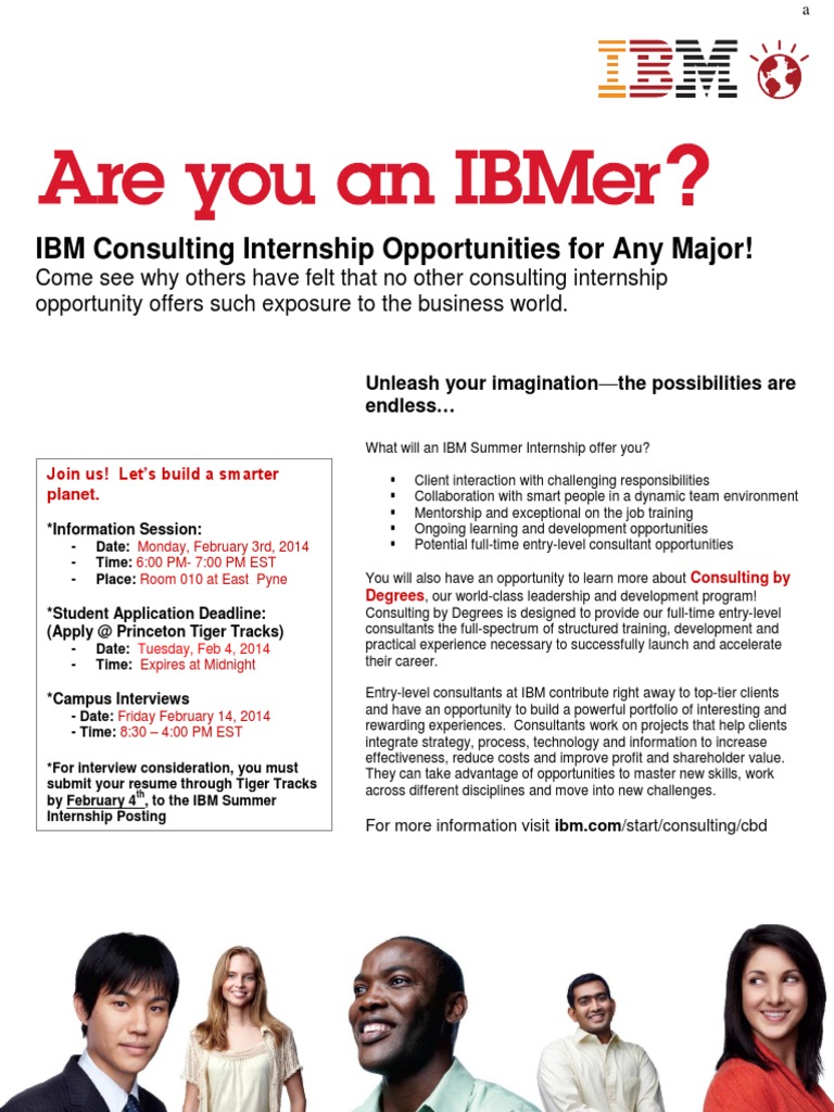 2014 Intern Flyer Princeton | PDF | Ibm | Consultant