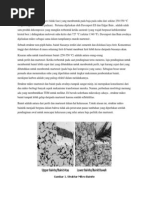 Besi Cor Nodular | PDF