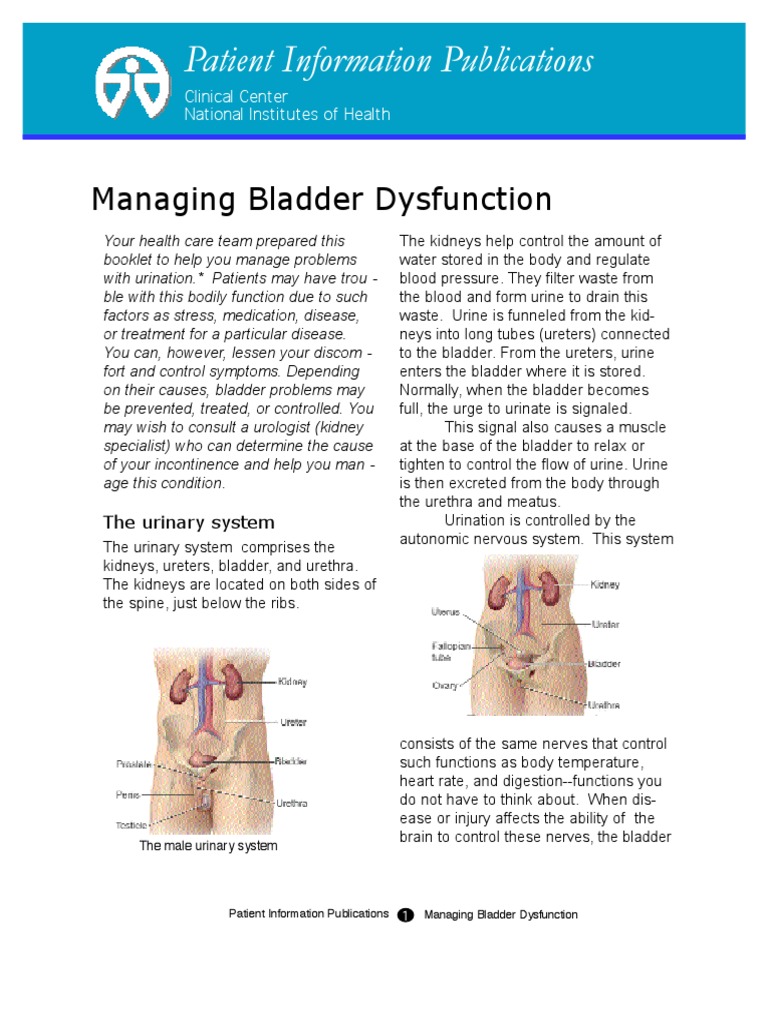 Management Bladder Incontinance | PDF | Urinary Incontinence | Urinary ...