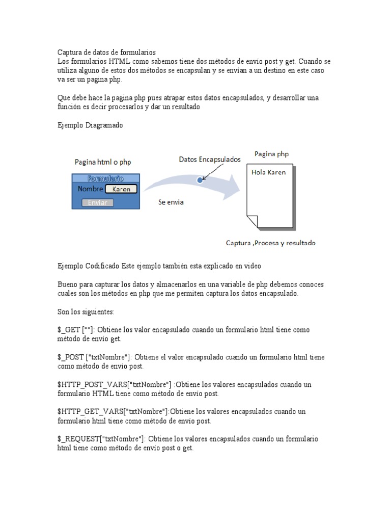 Captura de Datos de Formularios | PDF | Negocios | Informática