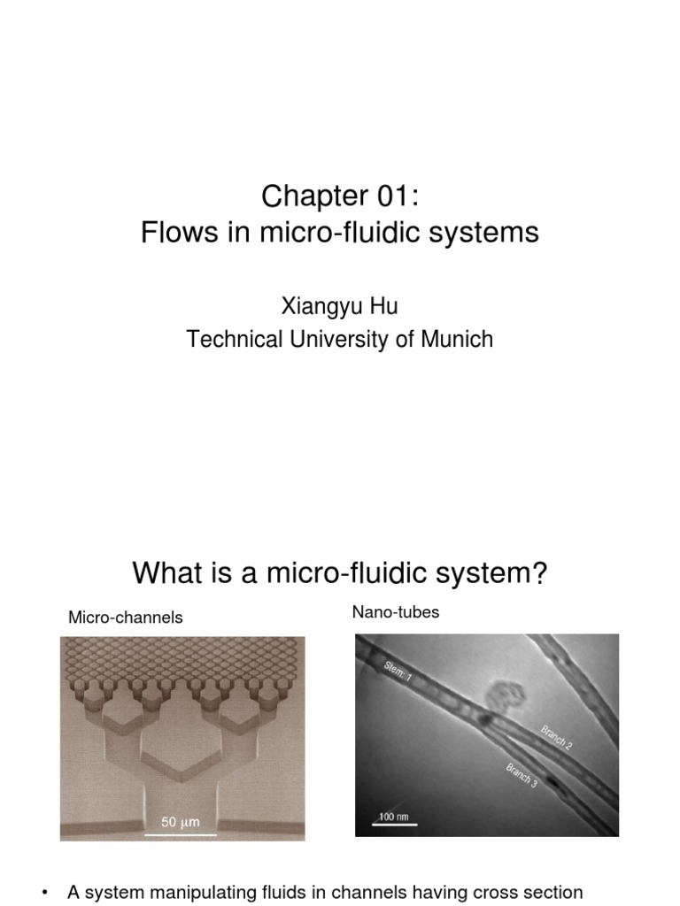 Flows in Micro-Fluidic Systems: Xiangyu Hu Technical University of Munich | PDF | Microfluidics ...