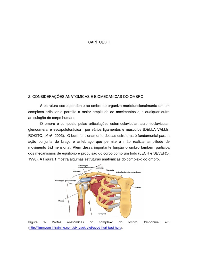 Anatomia Do Ombro | PDF | Colágeno | Músculo