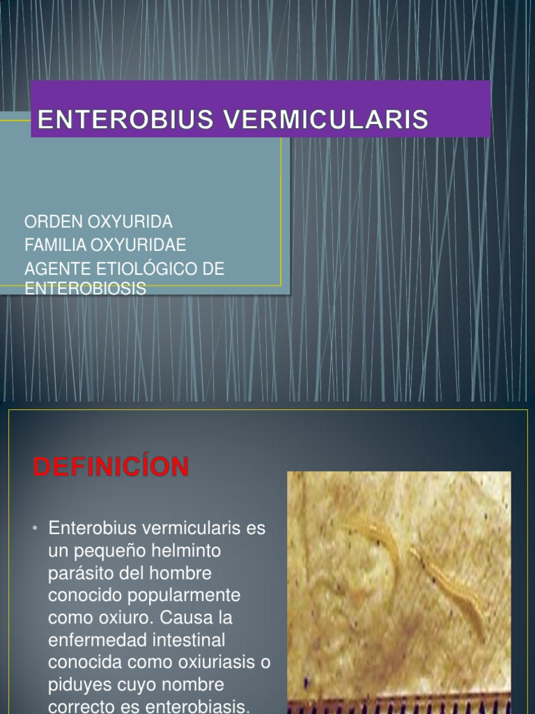 OXIUROS DIAPOSITIVA | Gastroenterología | Enfermedades y trastornos