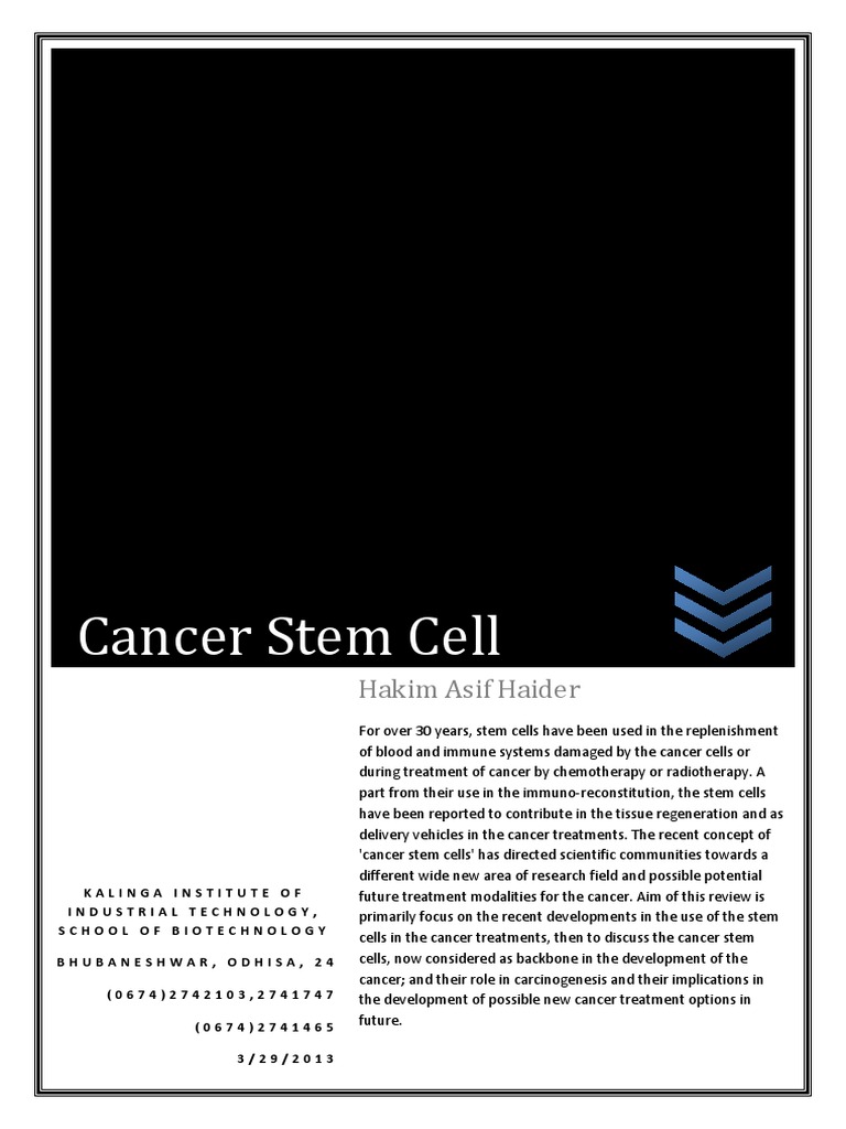 Cancer Stem Cell | PDF | Stem Cell | Cell Signaling