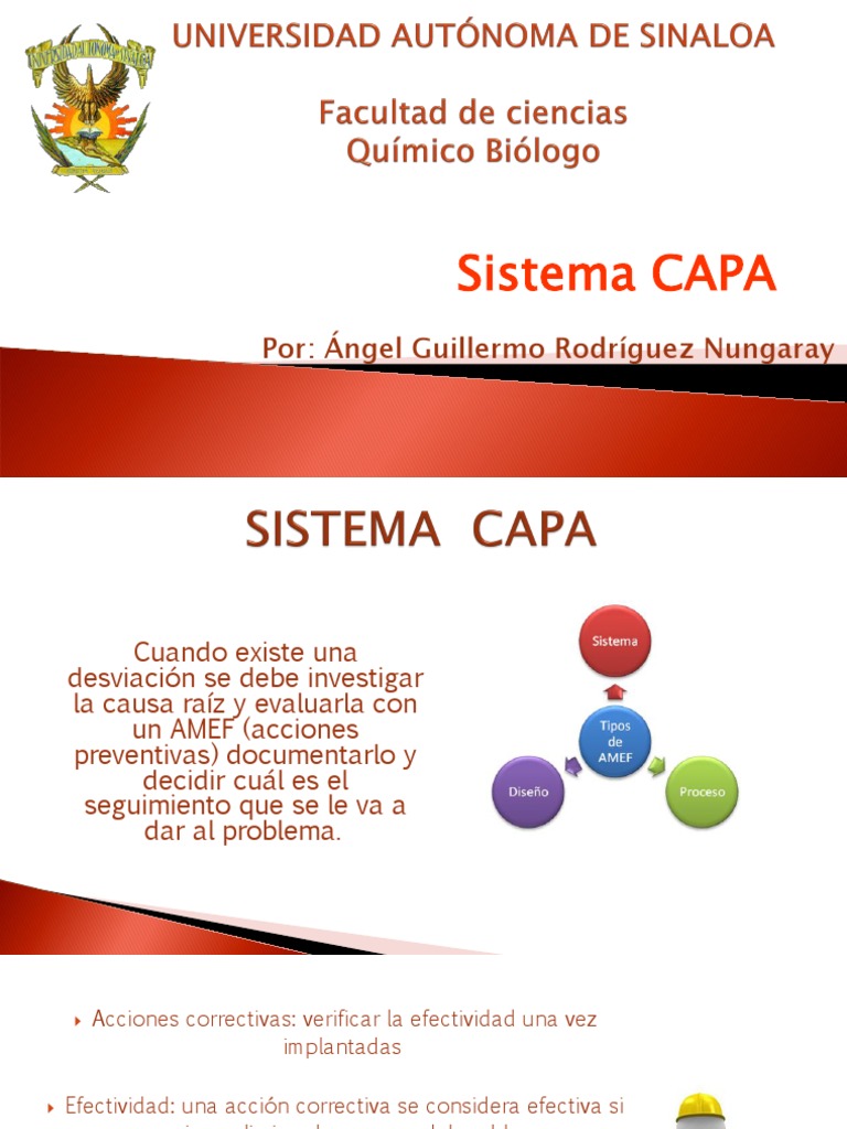Sistema CAPA y Poka Yoke | PDF | Ciencia cognitiva | Sicología