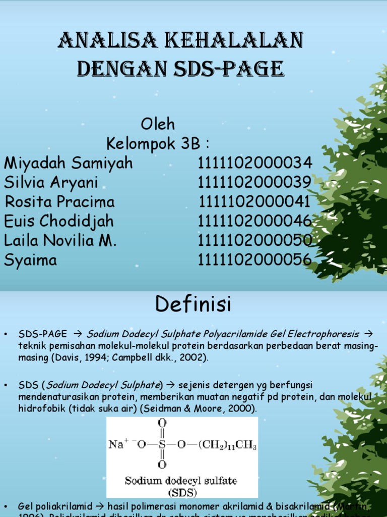 Teori Sds Page | PDF