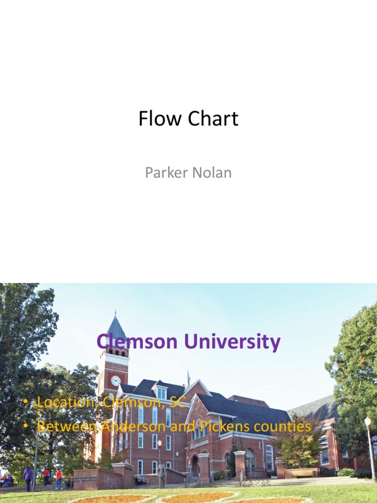 Flow Chart | PDF | Race And Ethnicity In The United States Census | Cadet