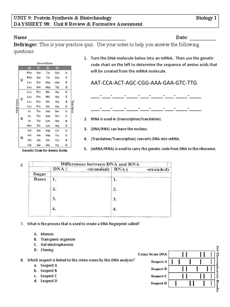 Ds98-Unit 8 Review Formative Assessment | PDF | Organisms | Molecular ...