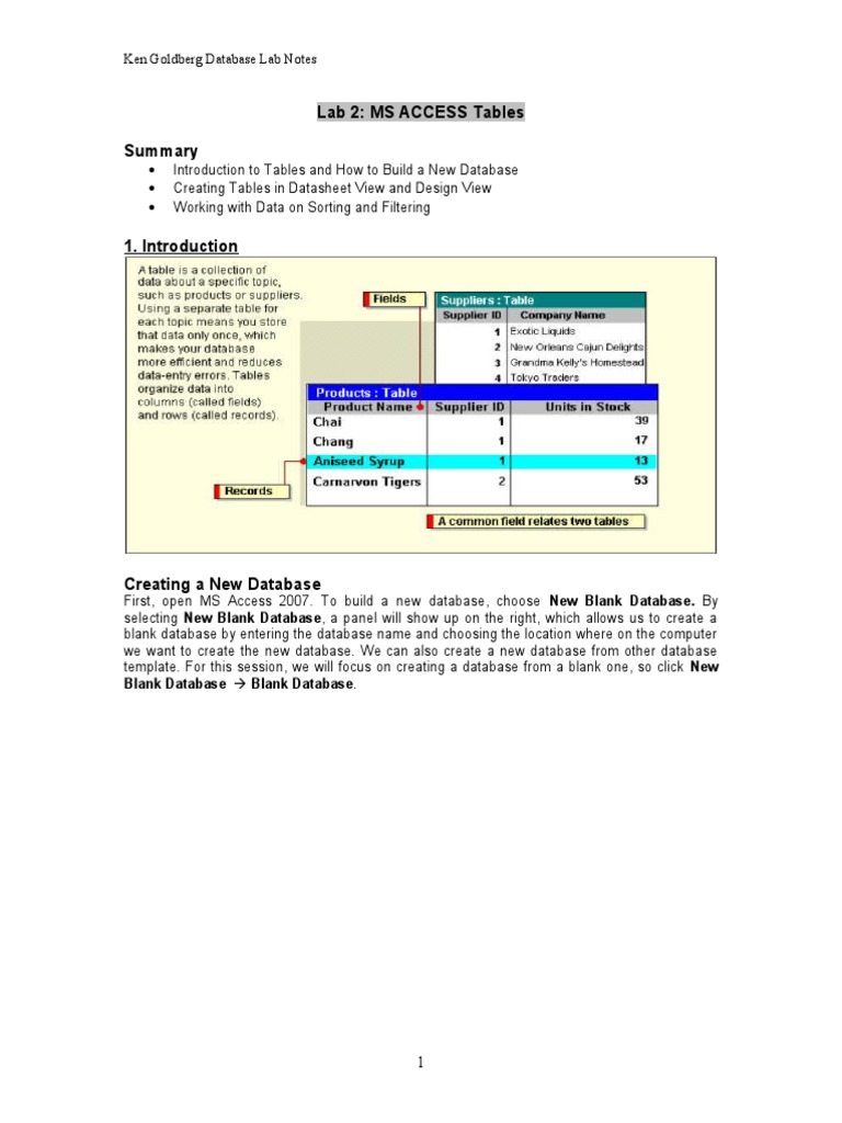 Lab 2: MS ACCESS Tables: Blank Database Blank Database | PDF ...