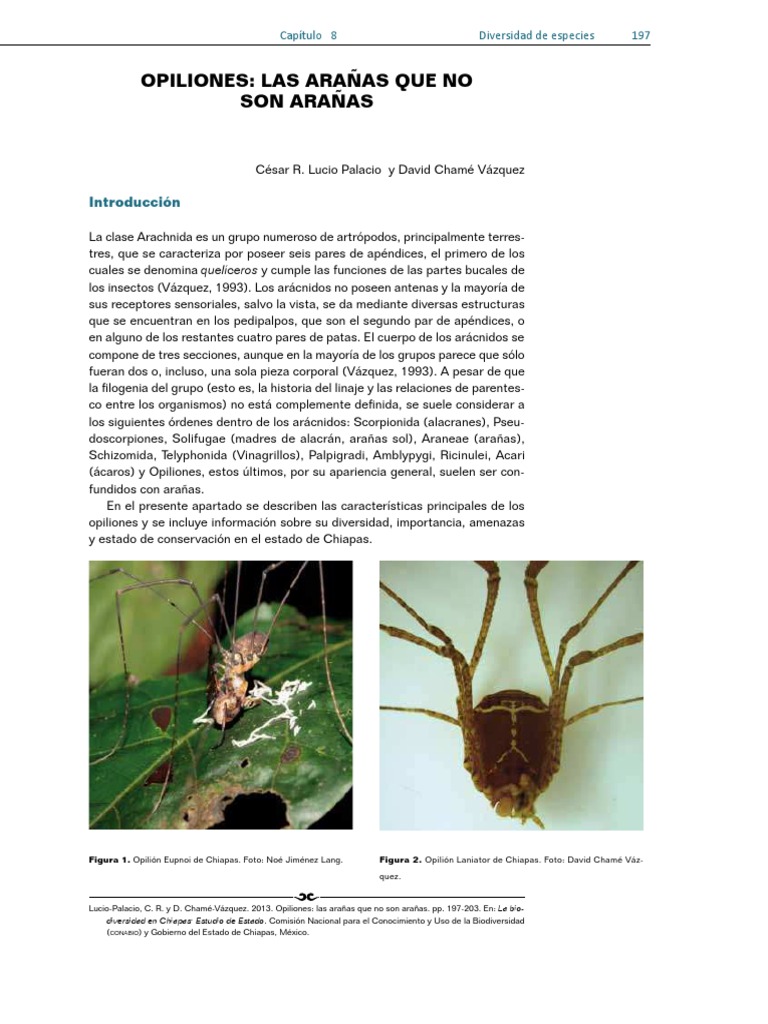 Lucio-Palacio Chame-Vazquez2013Opiliones Las Aranas Que No Son Aranas ...