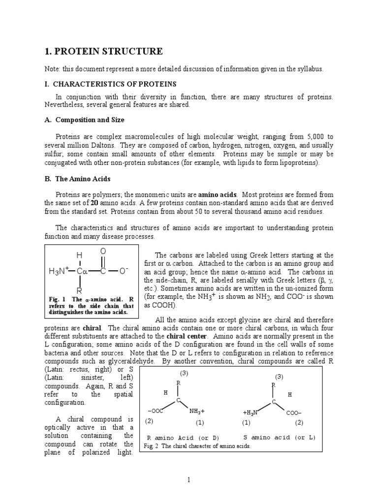 Protein Structure Analysis