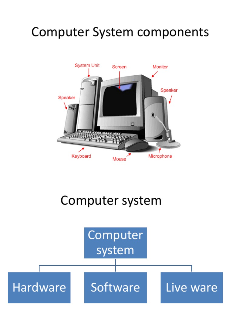 Hardware Components Of Computer System